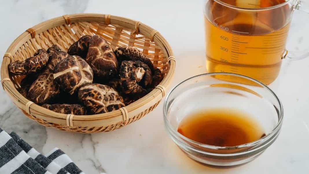 All About the SCOBY and How to Use it After Your Kombucha Brew ...